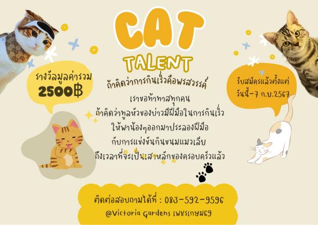 #รับสมัคร น้องแมว กับการแข่งขันแมวเลีย Cat Talent ในวันที่ 8 ก.ย.67 ชิง ...